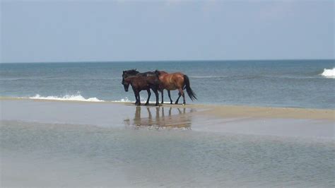 [video] Mark A Collini On Linkedin Inspiration Quote Branding