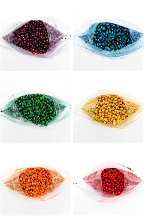 Rainbow Dyed Corn Kernels How To Dye Corn For Sensory Play The Craft