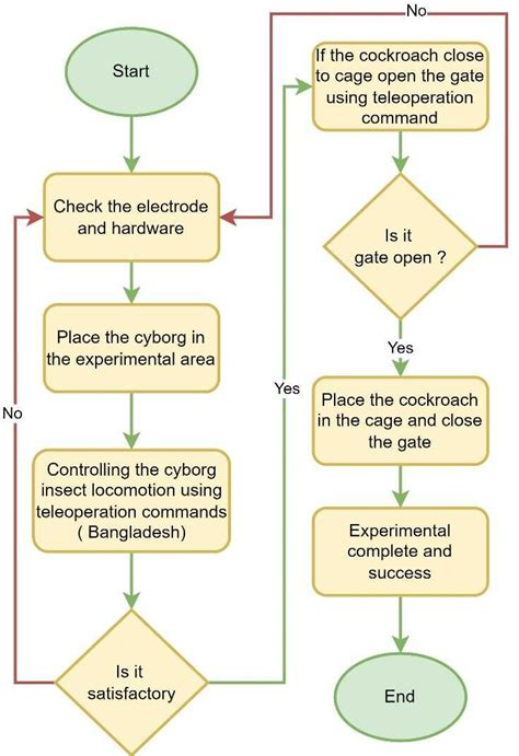 Overall Experimental Methods Flow Chart Download Scientific Diagram
