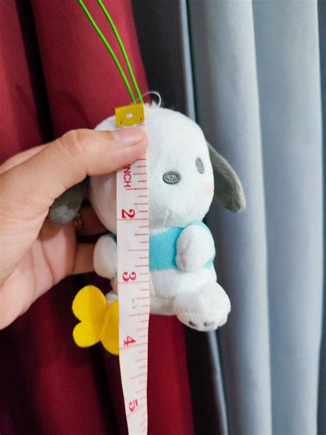 Pochaco 2021 Hobbies And Toys Toys And Games On Carousell