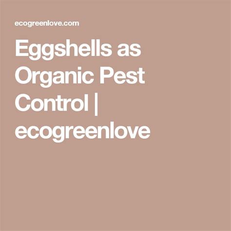 Eggshells As Organic Pest Control Ecogreenlove Organic Pest Control