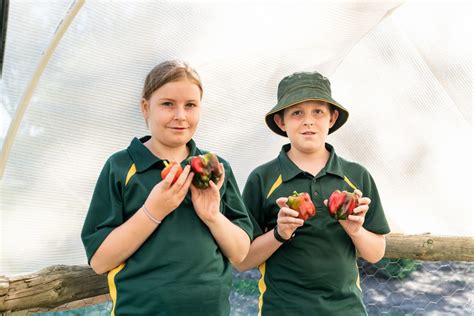 Home Light Pass Primary School