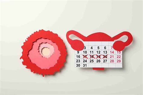 Can You Get Pregnant Right After Your Period