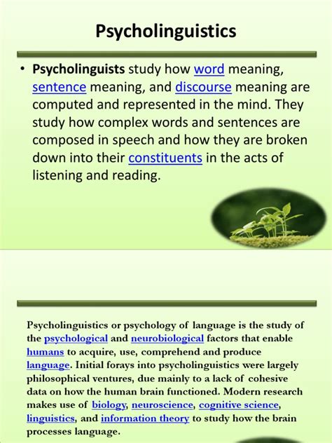 Psycholinguistic 1 Psycholinguistics Language Acquisition