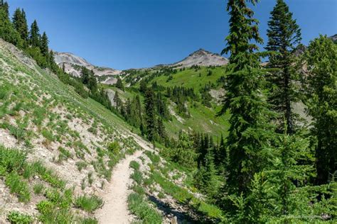 I Heart Pacific Northwest