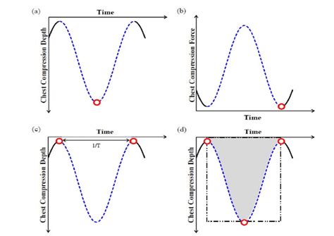 The Cpr Technique Is Represented By The Following Curves A Chest