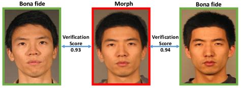 Illustration Of Successful Verification With Morphed Image In A Cots Download Scientific