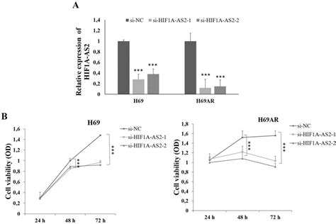 Relative Expression Level Of Hif1a As2 Was Significantly Downregulated