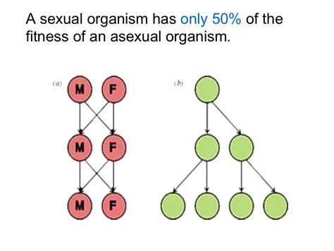 A Sexual Organism Has Only
