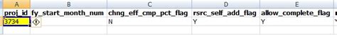 How To Clean A Primavera P6 Xer File Using The Xer File Parser