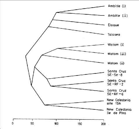 Dendrogram Showing Assemblage Similarities As Calculated By The Multbet