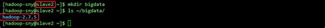 hadoop核心组件之hdfs的安装与配置 hdfs安装与配置 csdn博客