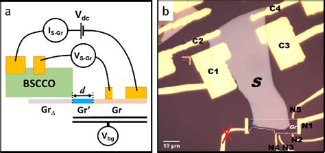 Pdf Andreev Reflection And Klein Tunneling In High Temperature Superconductor Graphene