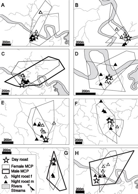 Minimum Convex Polygon Mcp Foraging Areas Of Eight Femalemale Pairs