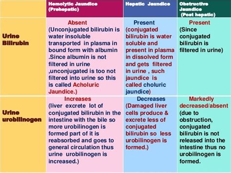Jaundice Dr Rahul Physiology Sms Mc Jaipur Mobile No 8764324067