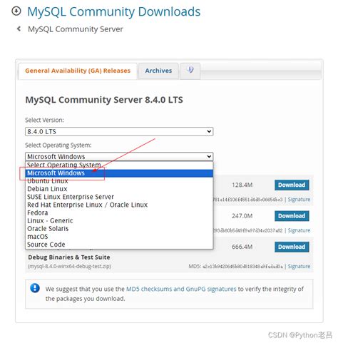 【2024年】⭐️mysql安装配置教程 （超详细图文小白轻松上手windows长期支持版本lts数据库840下载57）mysql8