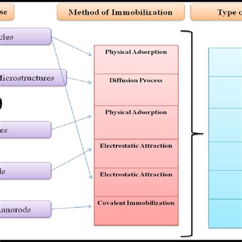 Schematic Representation Of Various Types Of Zno Based Biosensors Download Scientific Diagram