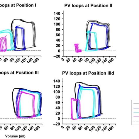 Examples From Original Pressure Volume Loops X Axis Volume In Ml Download Scientific Diagram