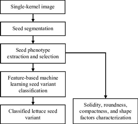 General Architecture Of The Development Of Feature Based Machine