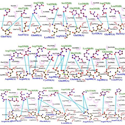 Post Docking Interactions Between Active Site Residues Of Protein Pkcγ Download Scientific