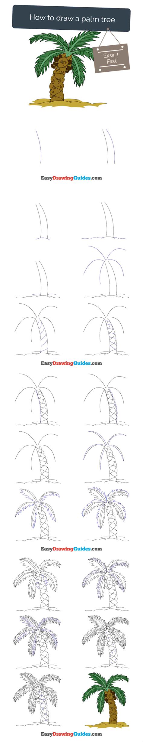 Palm Tree Drawing Step By Step At PaintingValley Com Explore Collection Of Palm Tree Drawing