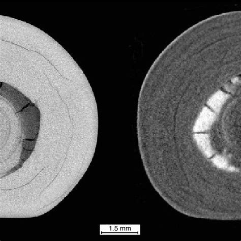 X Ray Tomography Left And Neutron Tomography Right Of The Natural