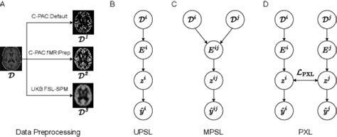 Figure 1 From Pipeline Invariant Representation Learning For Neuroimaging Semantic Scholar