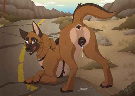 Rule 34 Animal Genitalia Animal Pussy Cx404 Dogmeat Fallout Fallout