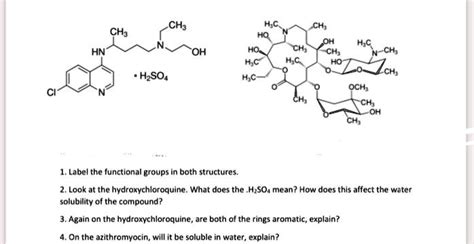 Ch Hc Ho Hj Ch3 Hc Ch Hsc Oh Ho Rc Hj Nh Ch Ho Ch Och Ch Hzsoa Hsc Ch Ch 1 Label The Functional