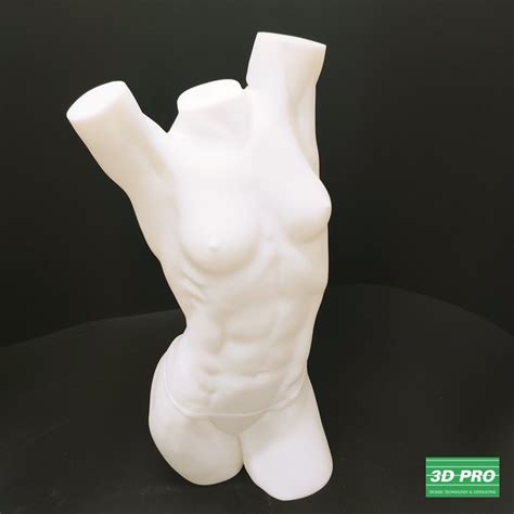 실제 크기의 여성 신체 조각상 모형물 3d프린팅으로 제작 대학생 졸업작품3d프린터 출력물 Sla방식abs Like 레진 쓰리디프로3d프로3dpro 네이버 블로그