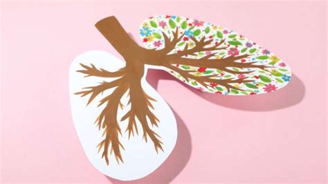 Lung Health 4 Best Vitamins To Improve The Strength Of Your Lungs