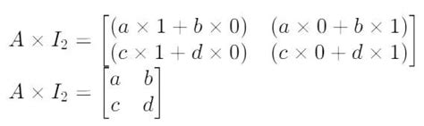 Identity Matrix Definition Examples And Properties