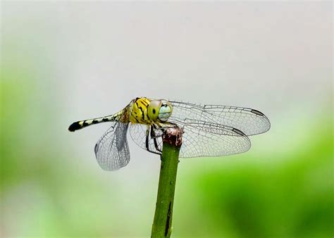 69positionpics Photos Download The Best Free 69positionpics Stock