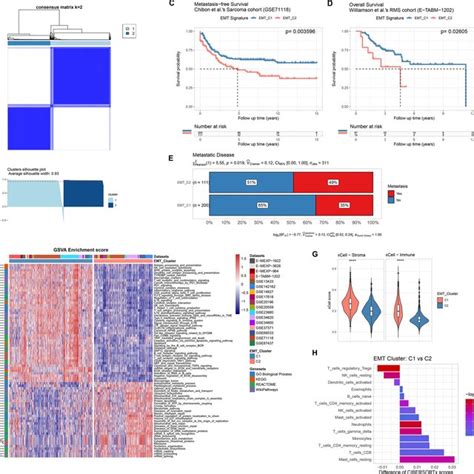 Unsupervised Consensus Clustering Of Pan Sarcoma Emt Molecular Subtypes