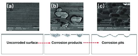 schematic of the electrochemical dissolution behavior of inconel 718 download scientific