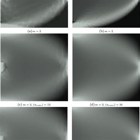 Bone Remodeling Followed By X Ray Simulation Of Thin Plate Model Meshed