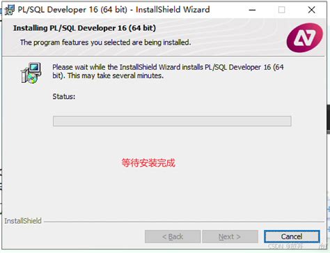 Windows 11 系统 Oracle Plsql 工具（plsql Developer 最新版本）完整安装与配置教程plsql安装教程及配置oracle Csdn博客