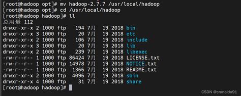 Hadoop大数据应用：linux 部署 Hdfs 分布式集群linux 部署hdfs Csdn博客