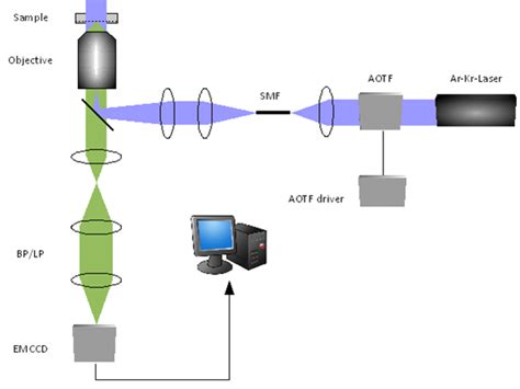 1 Optical Wide Field Setup Used For Dstorm Download Scientific Diagram