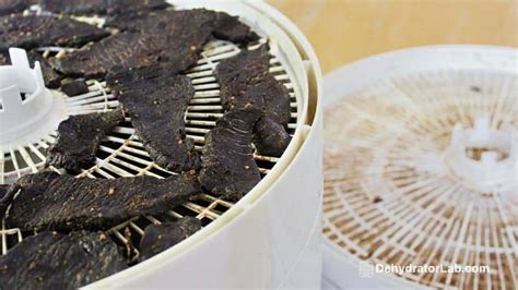 The 8 Best Homemade Jerky Recipes Dehydrator