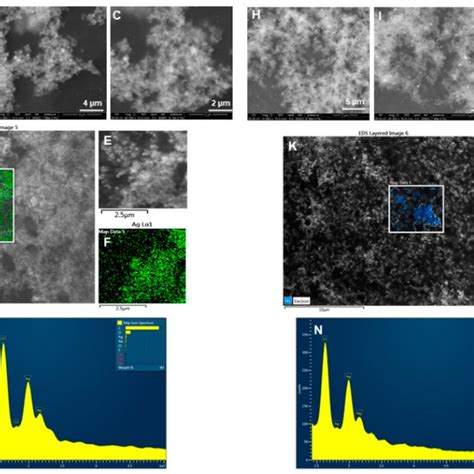 sem elemental mapping and edx analysis of p agnps and e agnps for