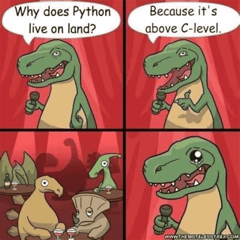 10 best data science memes