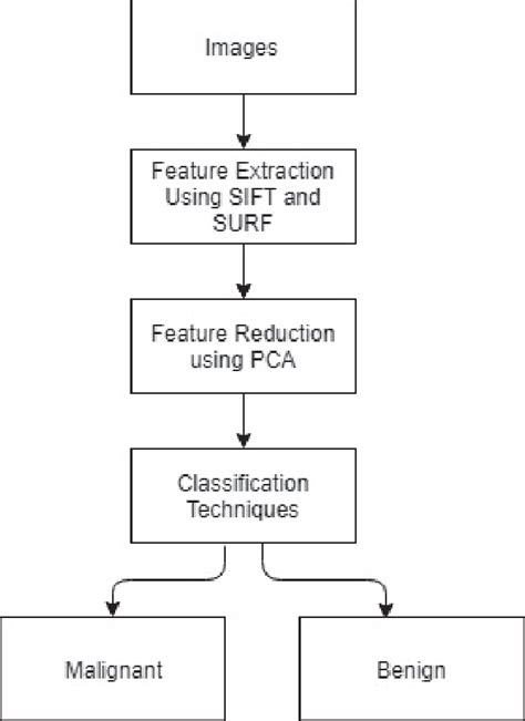 Figure 1 From Breast Cancer Detection From Thermograms Using Feature Extraction And Machine