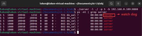 服务器server程序介绍—statethreads示例程序介绍 · Srs原理