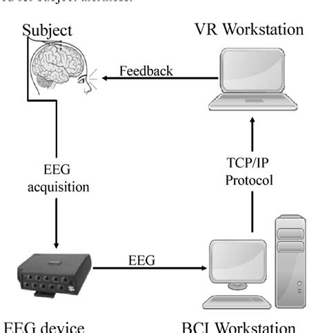 figure 1 from development of a matlab based toolbox for brain computer