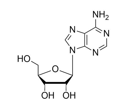 Adenosine Cas 58 61 7 Adenosine C10h13n5o4 For Dnarna Modifications Detection Huaren