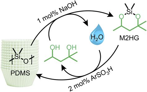 Chemistry Department University Of Florida Stephen A Miller Research Group