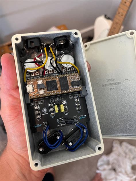 Seed Pedalboard In A Box Built With The Terrarium Platform Rdiypedals