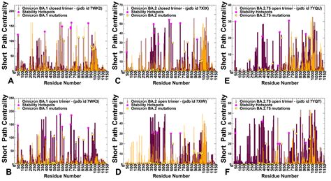 Ijms Free Full Text Coarse Grained Molecular Simulations And