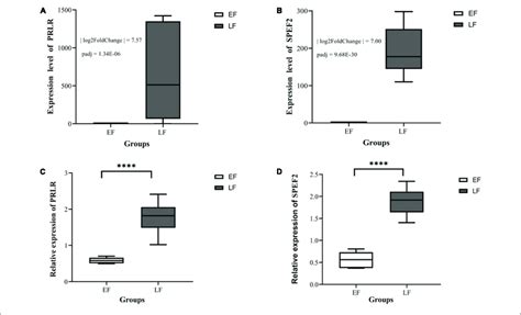 The Expression Divergences Of Spef2 Ac And Prlr Bd Between Ef Download Scientific